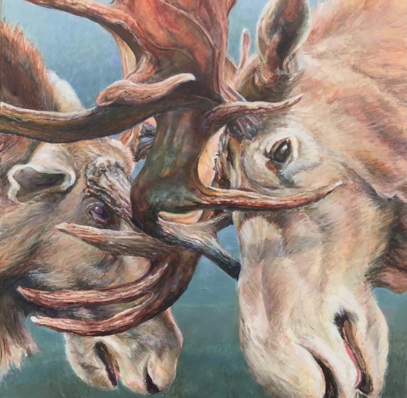 Diane Dahlke | Casco Bay Artisans